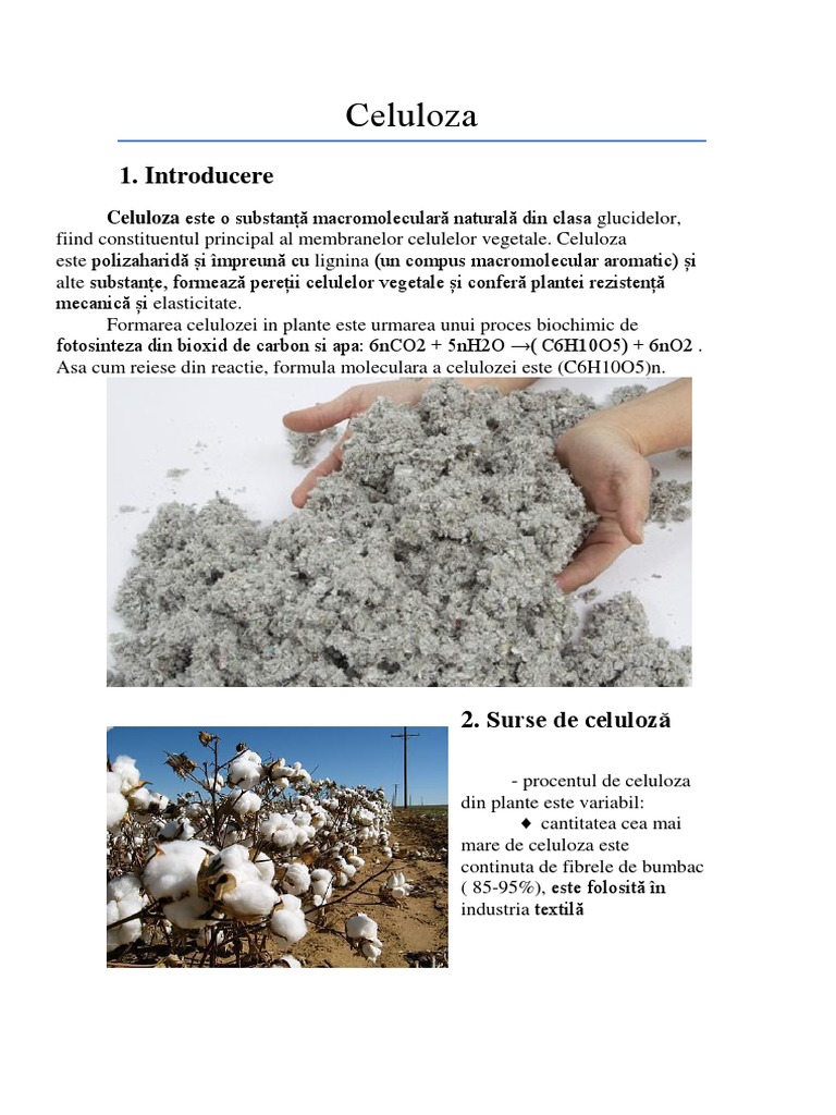 celuloza