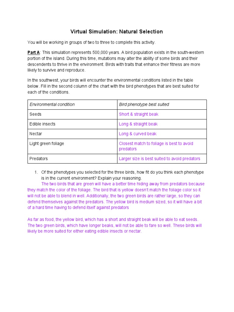 Virtual Simulation Natural Selection | PDF | Natural Selection | Evolution