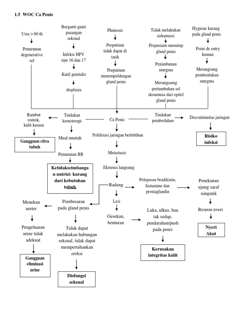 Woc Ca Penis-1 | PDF