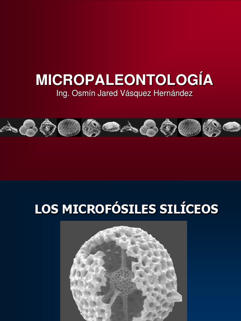 Los Microfósiles Silíceos | PDF | Biología | Organismos