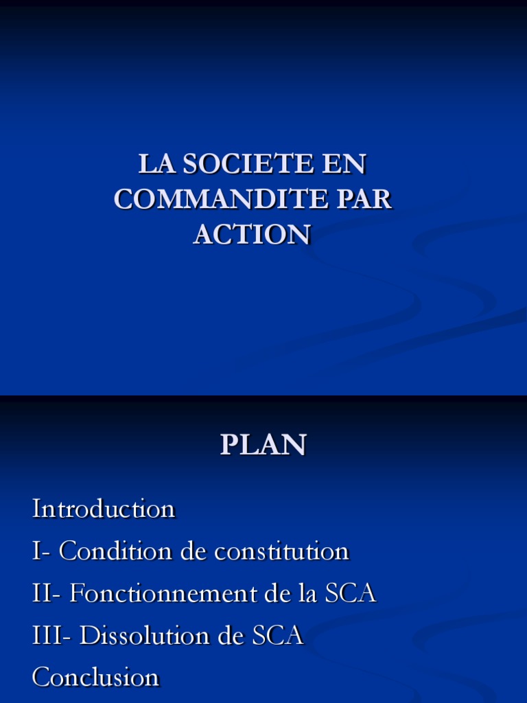 Société en Commandite Par Action | PDF | Business