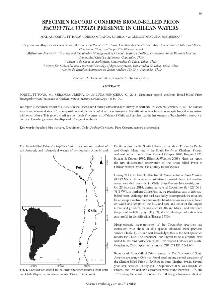 Specimen Records | PDF | Neognathae | Chile