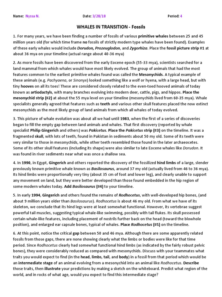 Whale Evolution: Transitional Fossils | PDF | Organisms | Nature