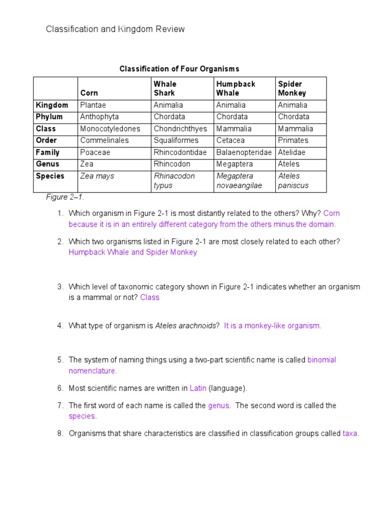 Kingdom Classification Worksheet