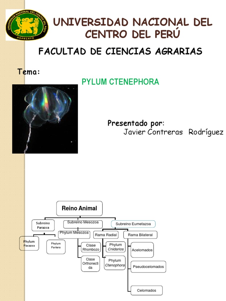 Pylum Ctenephora 2° | PDF | Organismos | Biología