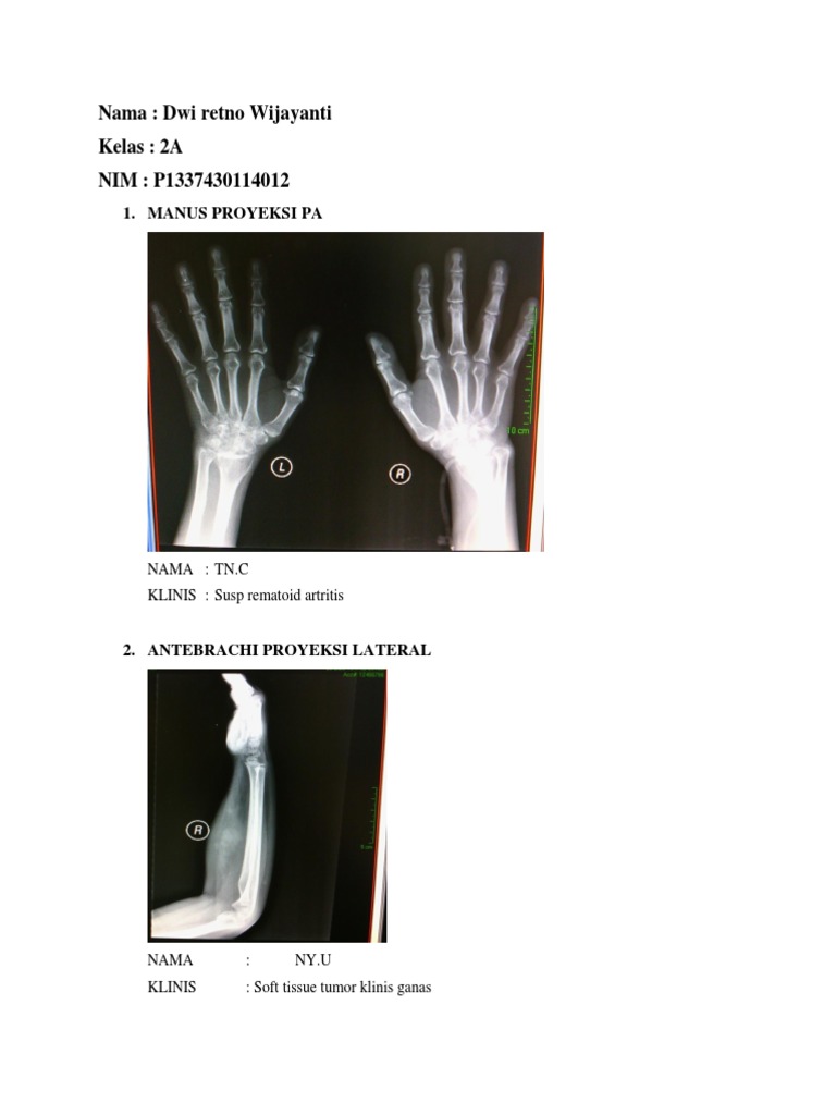 Anatomi Radiologi | PDF | Sains & Matematika
