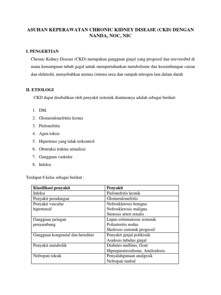 Comprehensive Nursing Care Plan for Chronic Kidney Disease (CKD) Using ...