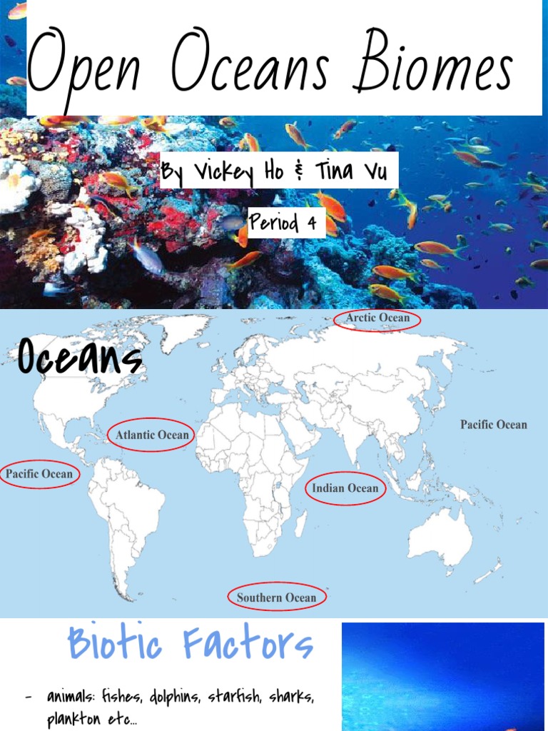 Biomes Presentation | PDF