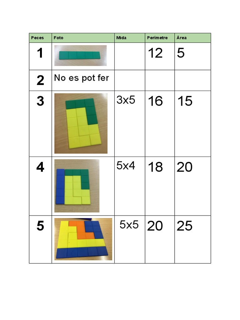 Rectangles Amb Pentòminos | PDF