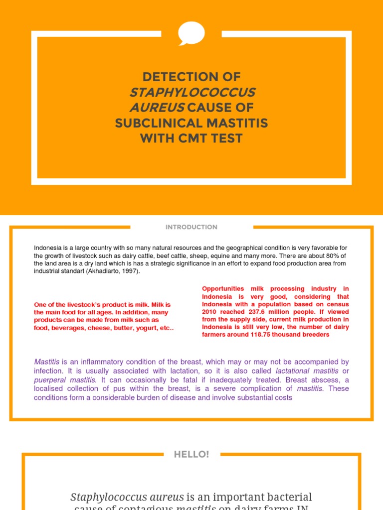 Staph | PDF | Diseases And Disorders | Health Sciences