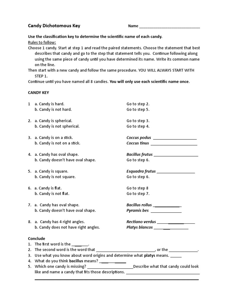 Dichotomous Key - Candy | PDF