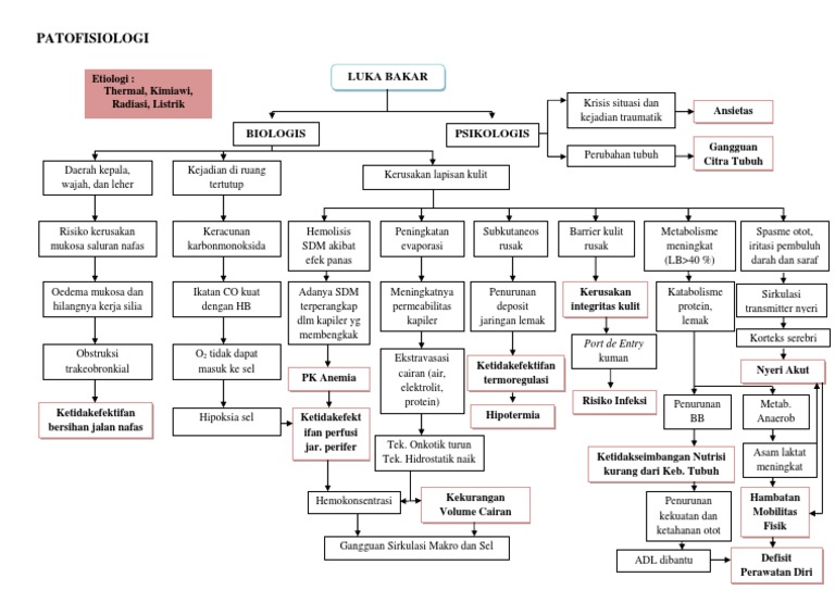 Pathway Combustio | PDF