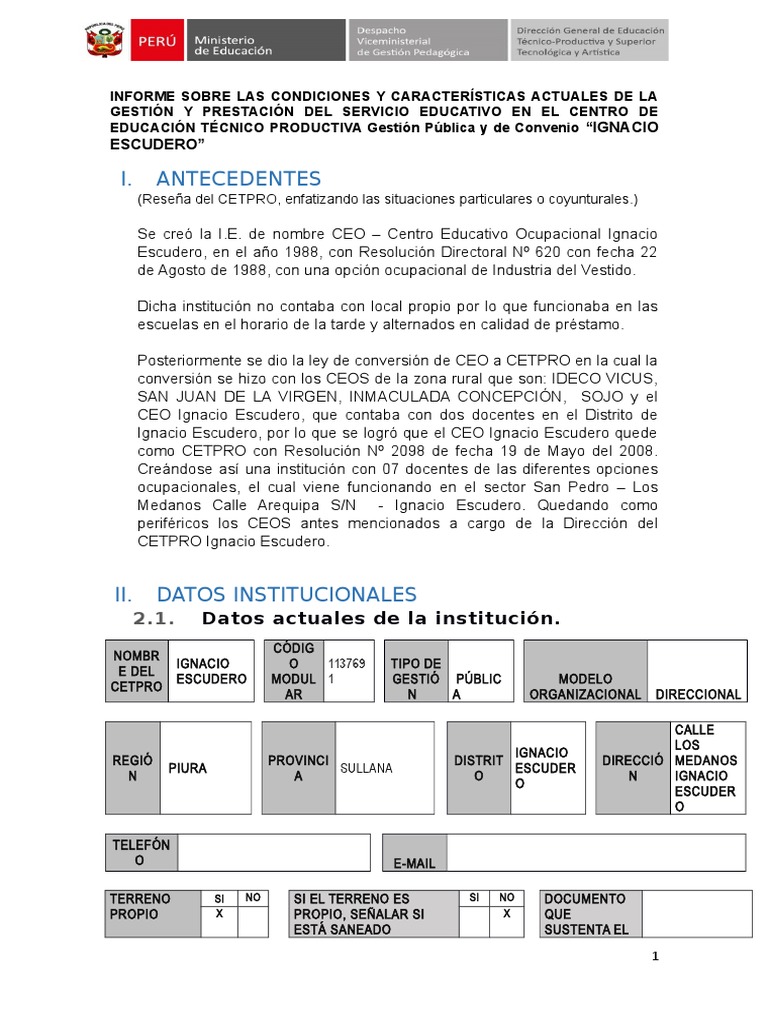 Formato - Informe Minedu Set 2016 CETPRO | PDF | Maestros | Facebook