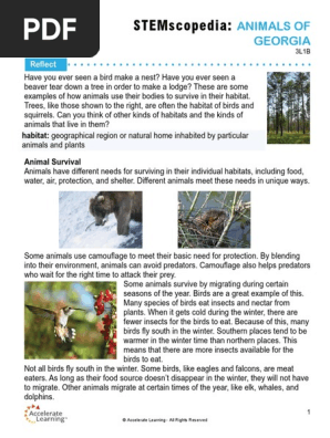 Georgia Animals And Plants