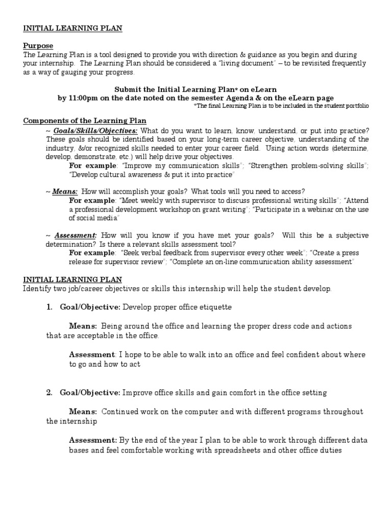 Initial Learning Plan Directions 2 | PDF | Educational Assessment | Goal