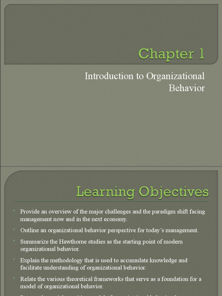 OB Chap001 - Intro To OB | PDF | Organizational Behavior | Behavior