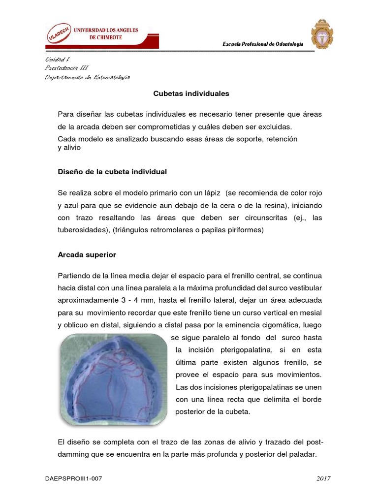 Cubetas Individuales Pdf Naturaleza