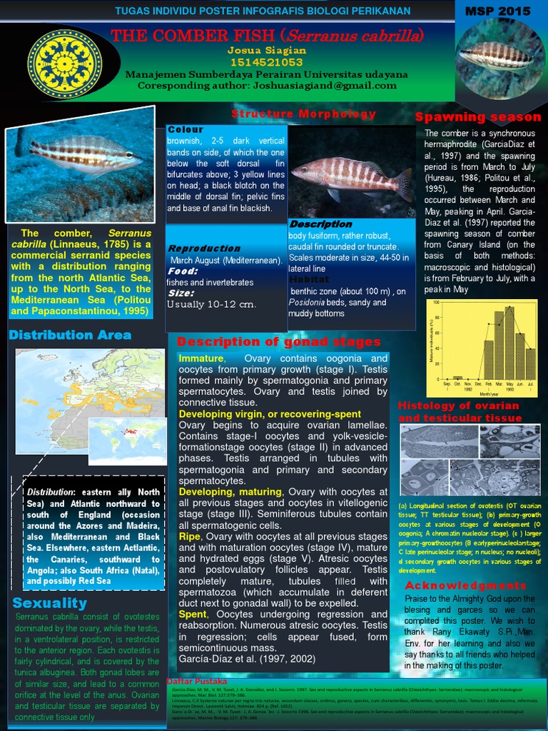 Josua Siagian - Infografis Biologi Perikanan | PDF | Ovary | Testicle
