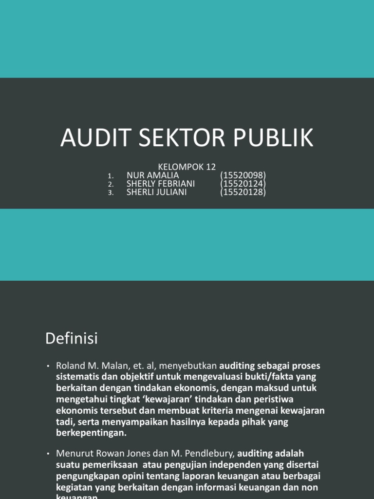 Audit Sektor Publik | PDF
