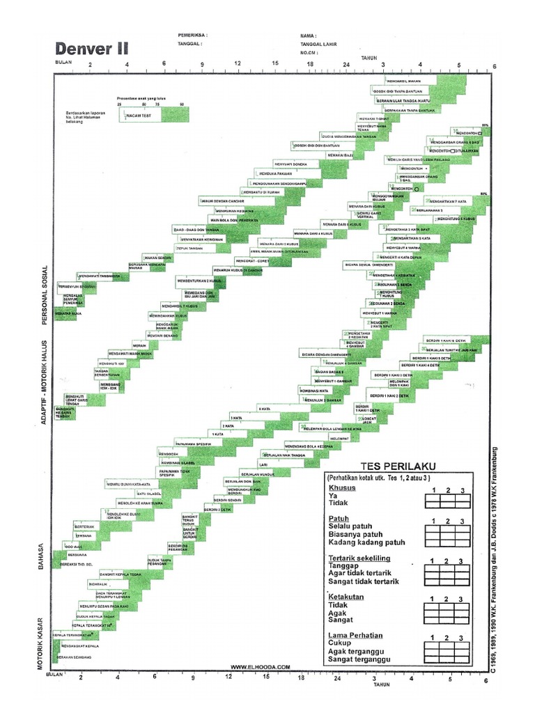 Denver II Milestone | PDF