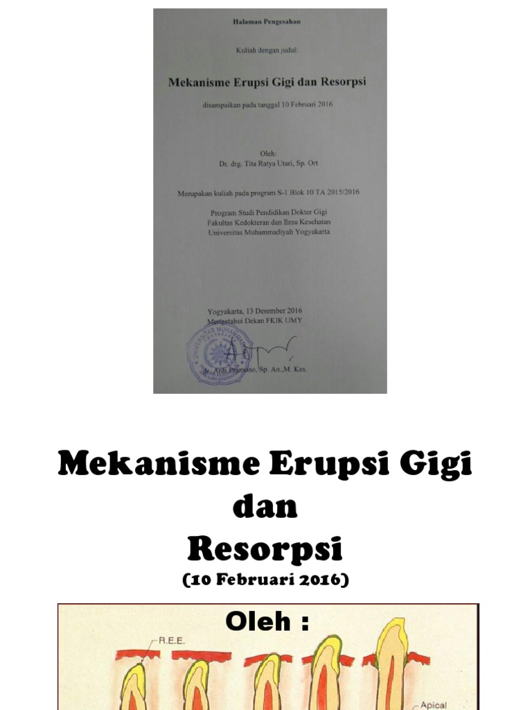 Erupsi Gigi Umy | PDF
