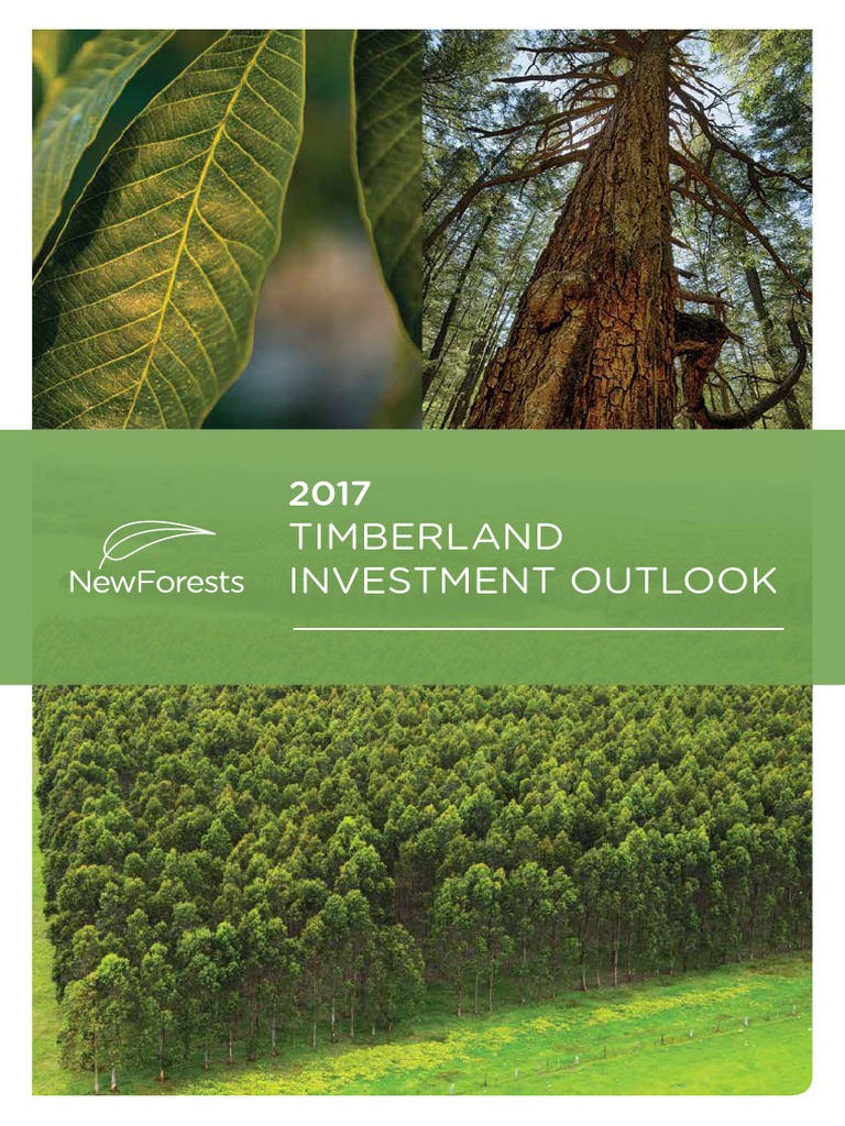 2017 Timberland Investment Outlook Web 1 | PDF | Plantation | Asset ...