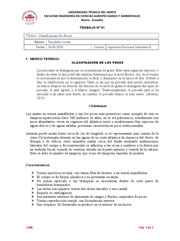 Clasificación de Peces y Sus Características | PDF | Pescado ...
