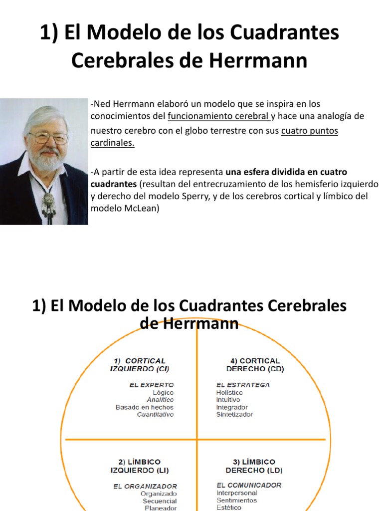 1) El Modelo de Los Cuadrantes Cerebrales de hermman | Aprendizaje ...