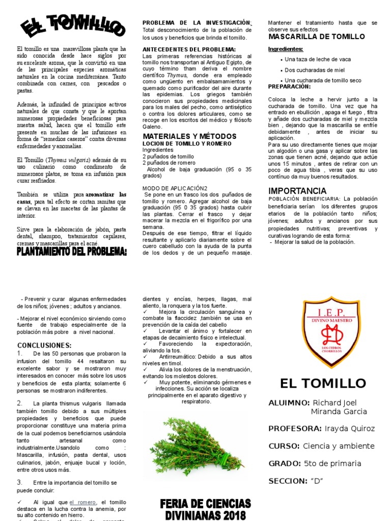 El Tomillo (Triptico) | PDF | Bienestar | Medicina