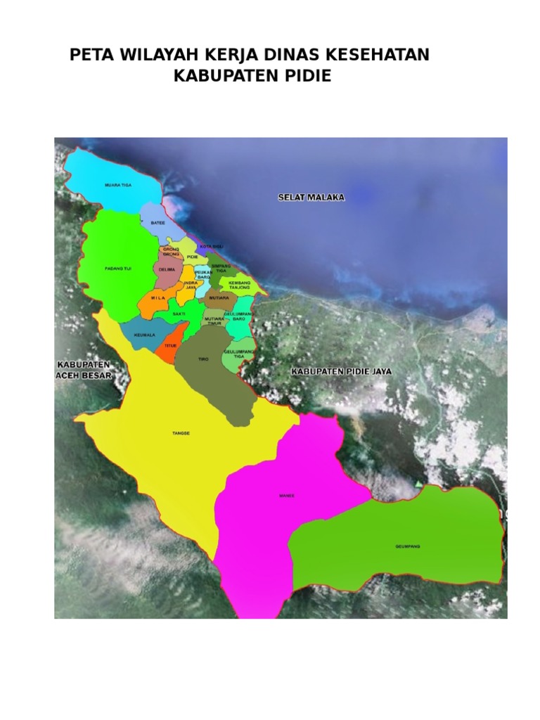Microplanning Kabupaten Pidie Jadi | PDF