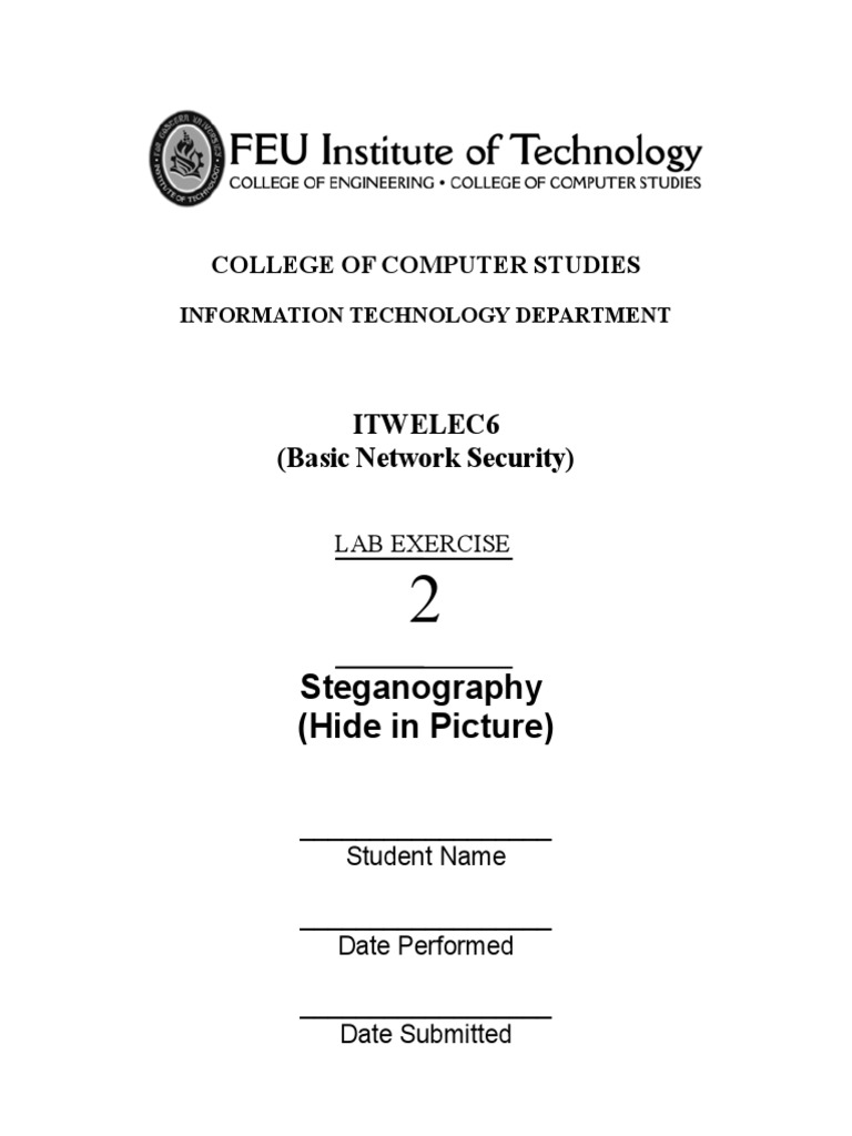 ITWELEC6 - Lab Exercise No 2 - Steganography | PDF | Text File ...