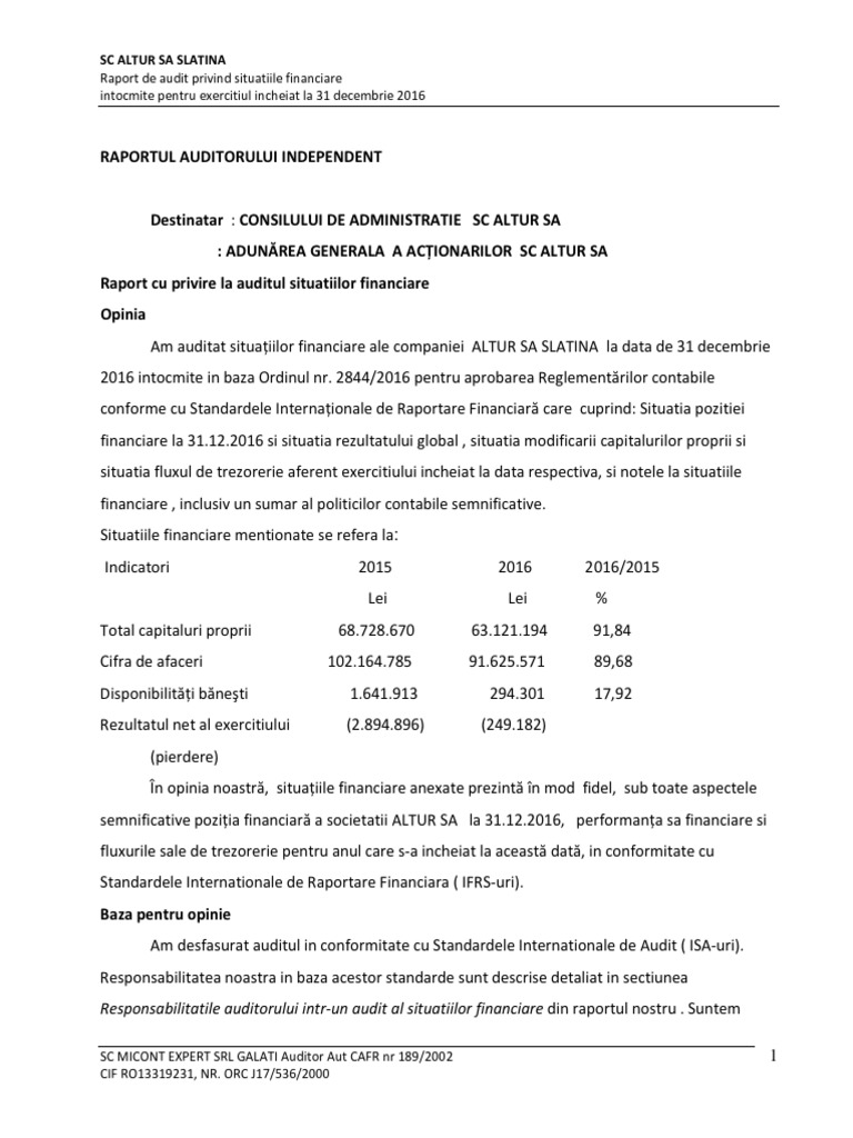 Raport Audit Financiar 2 | PDF