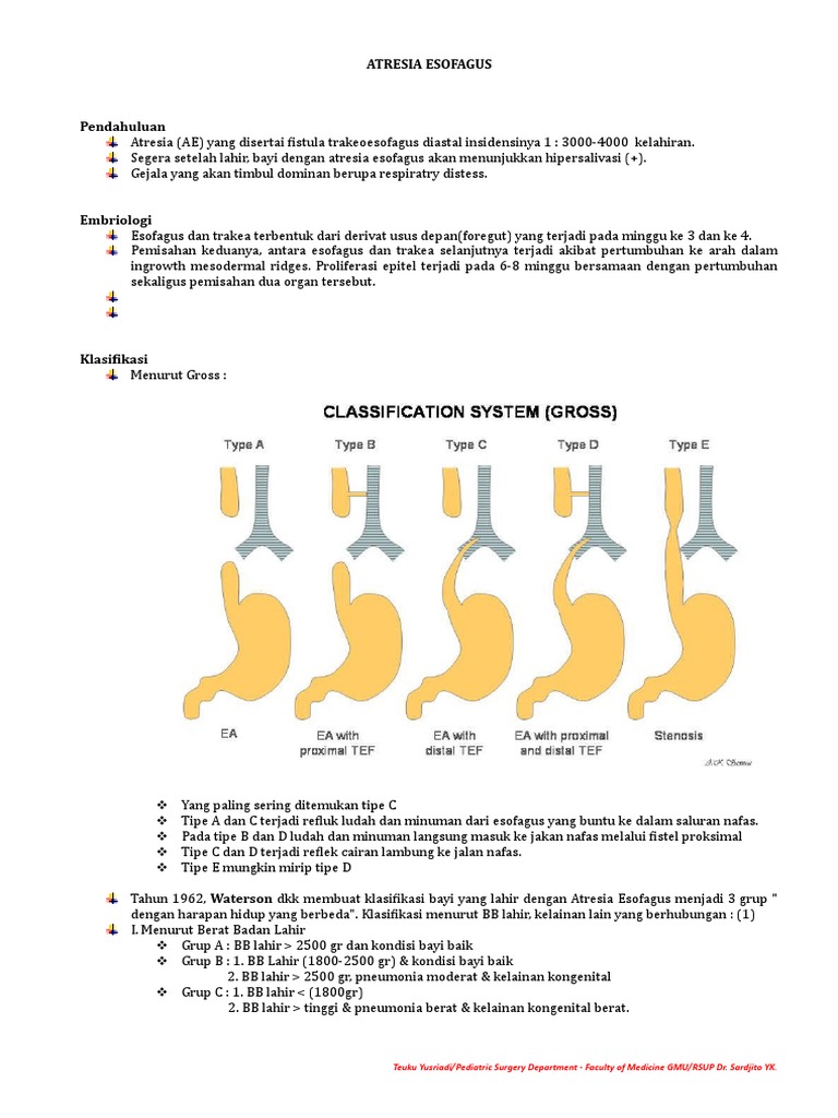 Atresia Esofagus. | PDF | Ilmu Sosial | Kesehatan Holistik