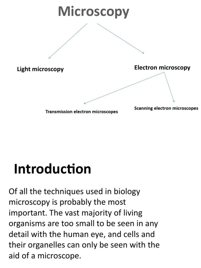 Microscopy: Light Microscopy Electron Micros | PDF | Microscope | Angular Resolution