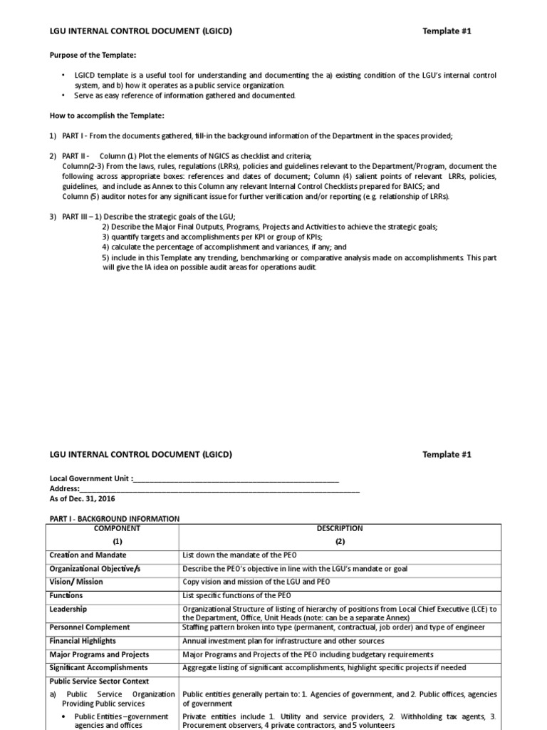 Template 1 - LGU Internal Control Document - ROLL-OUT | PDF | Internal Control | Audit