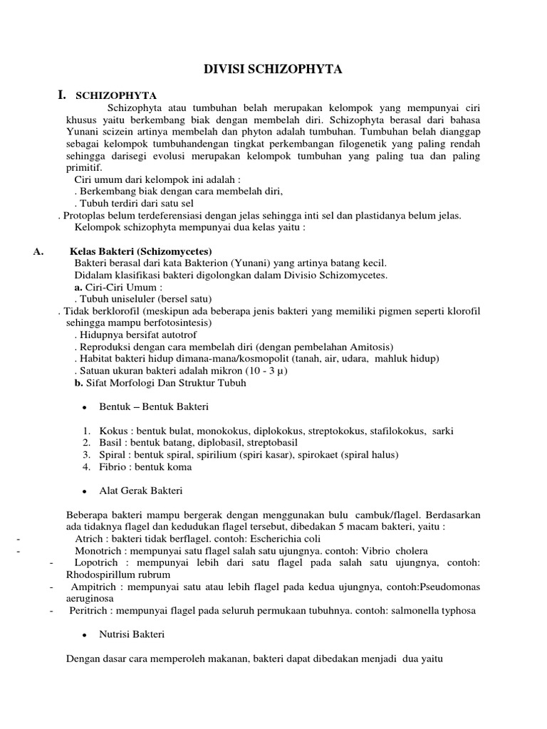 Divisi Schizophyta | PDF