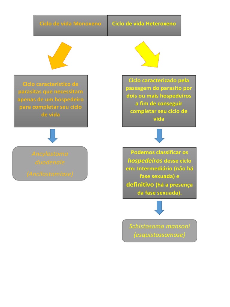 Ciclo Monoxeno e Heteroxeno e Medidas Profiláticas - Parasitologia | PDF
