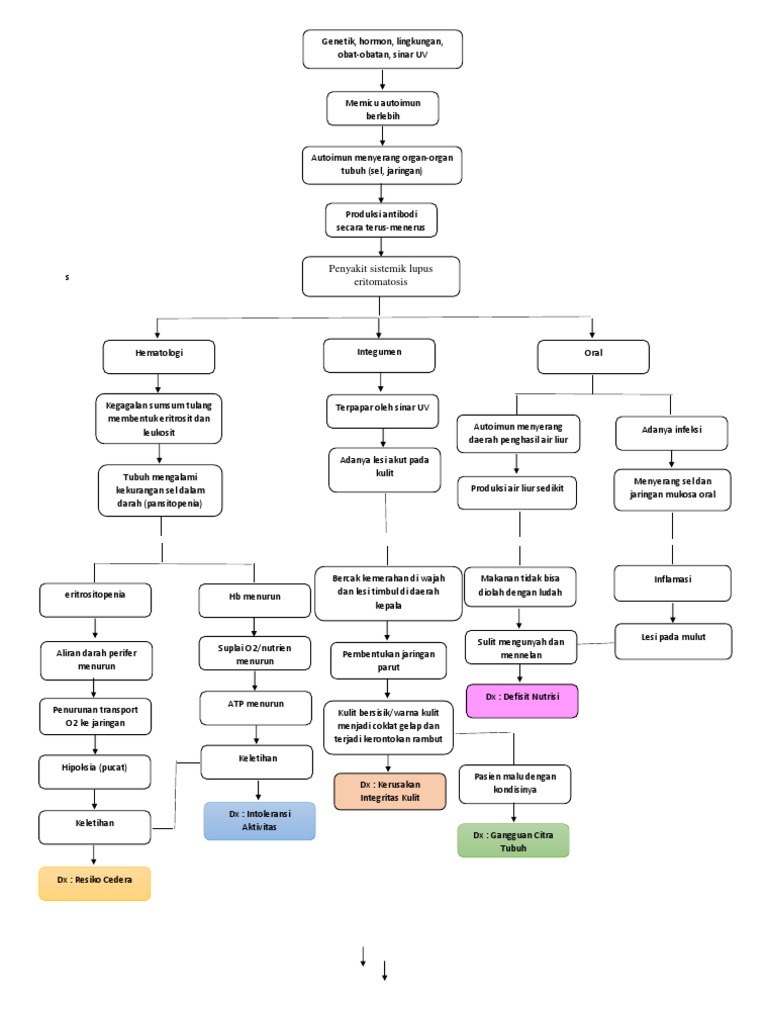 Pathway Lupus Fix | PDF