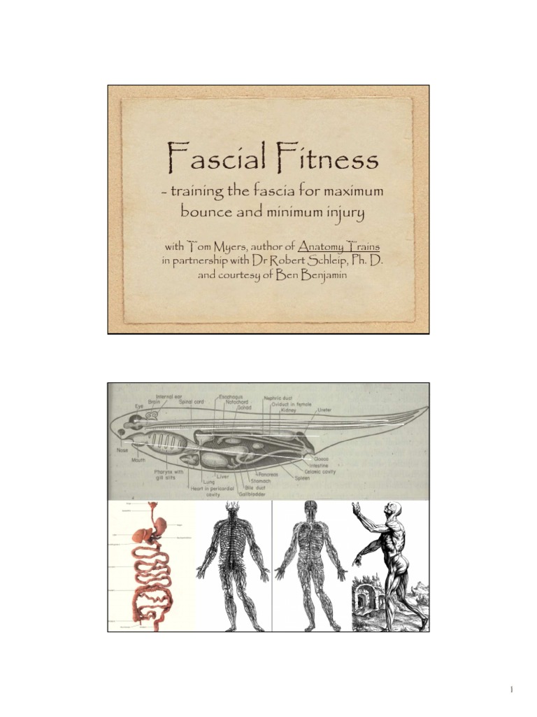 Fascial Fitness Color Notes | PDF | Extracellular Matrix | Tissue (Biology)