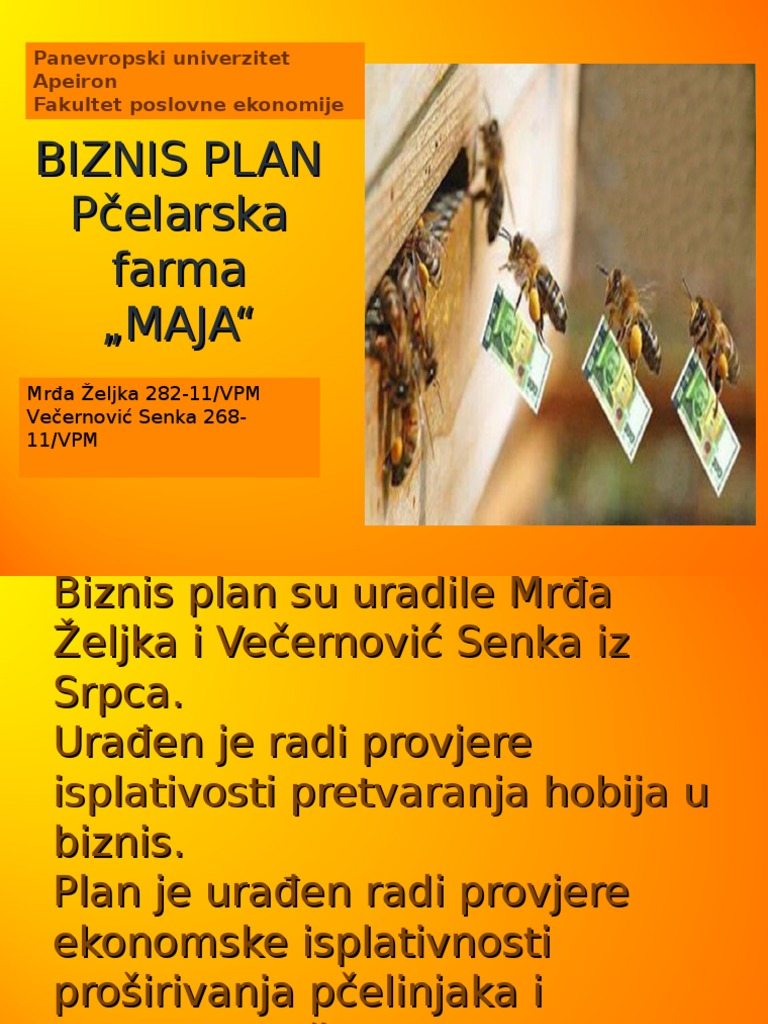 Primjer Biznis Plana | PDF