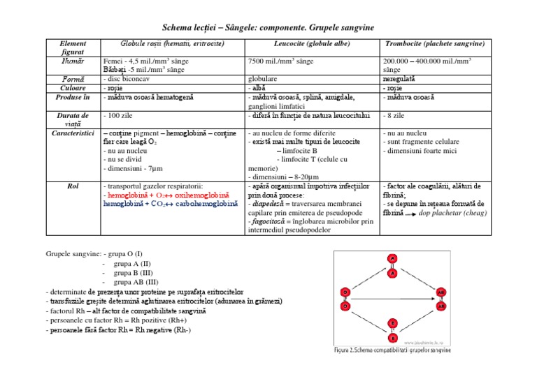 Schema Lectiei - Sange | PDF