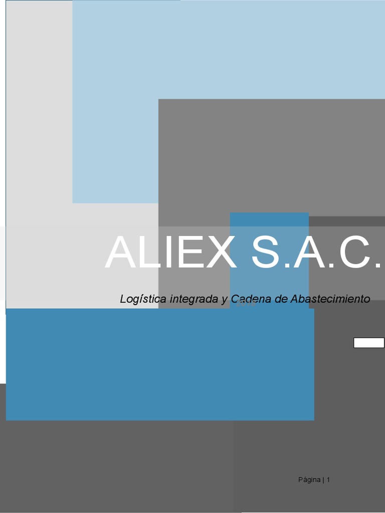 Logística y Cadena de Abastecimiento ALIEX S.A.C. | PDF | Logística ...