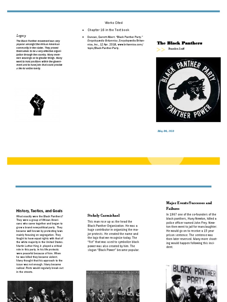 Black Panthers | PDF | Black Panther Party | Black Power
