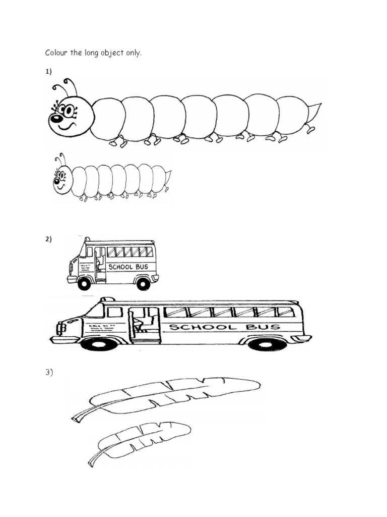 Colour The Long Object Only | PDF