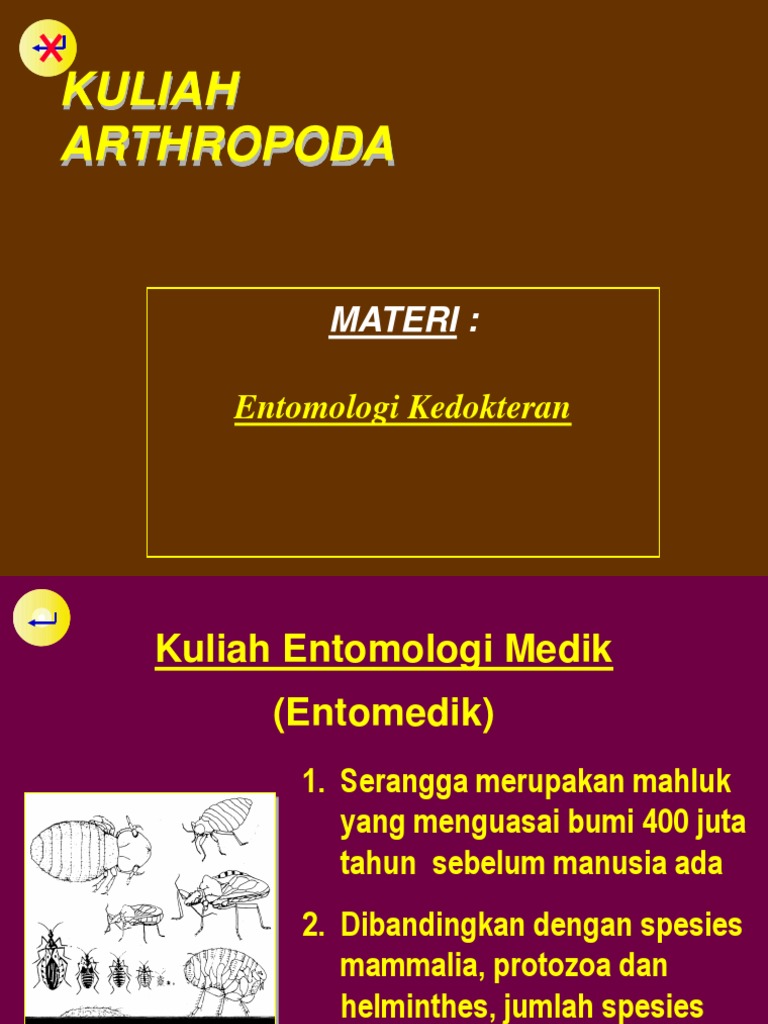Entomologi Kedokteran | PDF