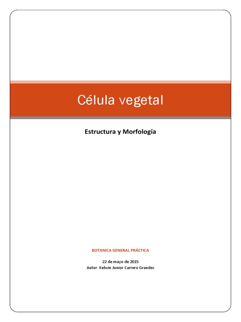 #2 Celula Vegetal-Botanica General (P) II Ciclo | PDF | Biología ...