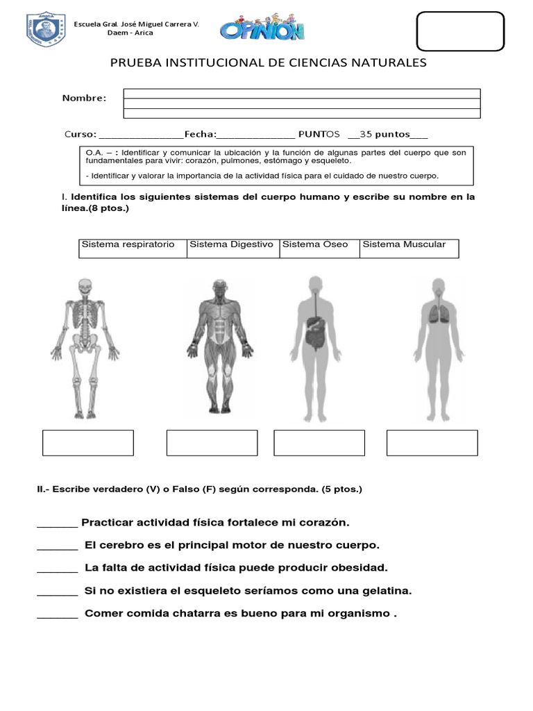 Prueba de Ciencias Naturlaes El Cuerpo (1) (Autoguardado) | PDF