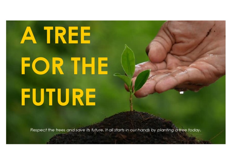 A Tree For The Future: Respect The Trees and Save Its Future. It All ...