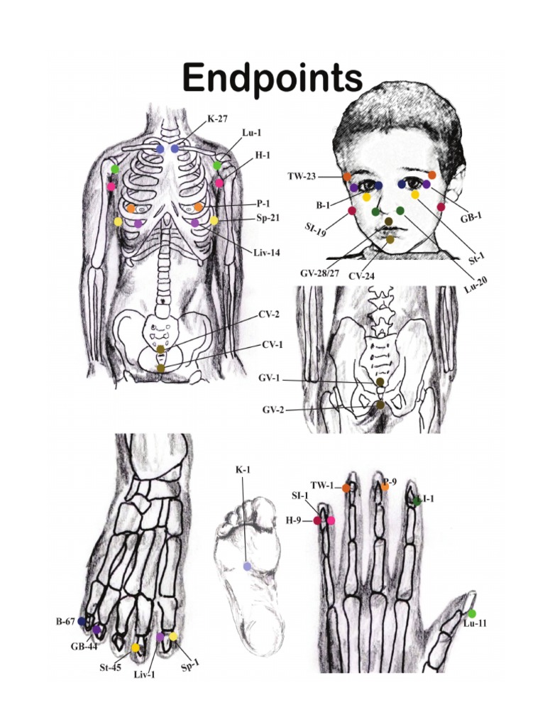 Acupuncture Meridian Endpoints: A Reference Guide to the Locations of ...