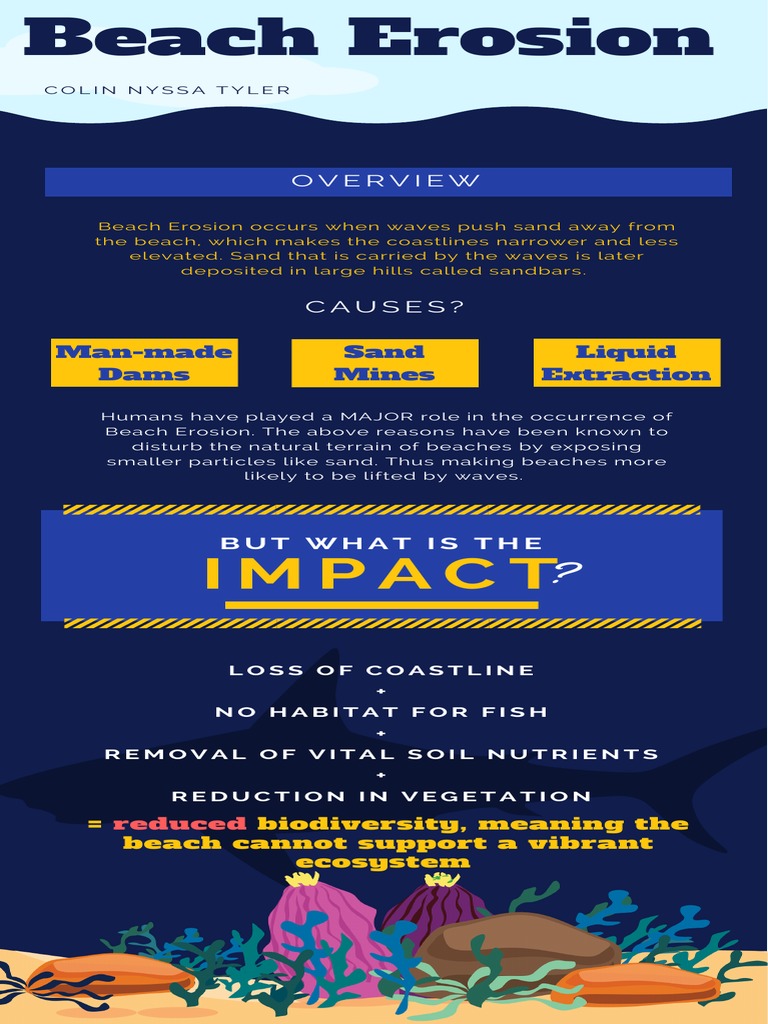 Beach Erosion Infographic | PDF | Beach | Coast